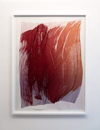Ari Pelkonen | Visual Artist
